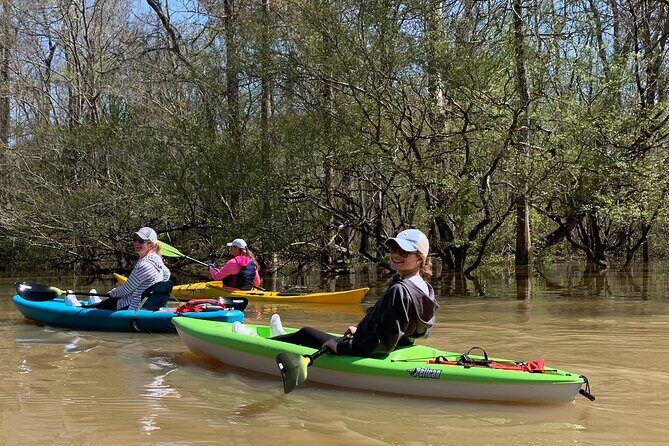 Historical Scenic Bayou Swamp Water Trail Kayak Tour - What’s Included and What You Can Expect