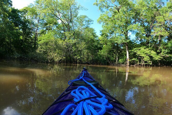 Historical Scenic Bayou Swamp Water Trail Kayak Tour - The Practical Side: Group Size, Timing, and Costs