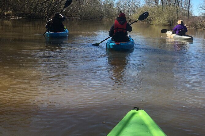 Historical Scenic Bayou Swamp Water Trail Kayak Tour - Why This Tour Might Be a Great Choice
