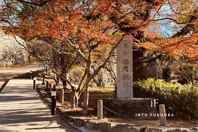 Historical Tour of Fukuoka Castle and Gokoku Shrine - Who Should Consider This Tour?