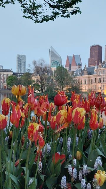 Historical Tour of The Hague - FAQ