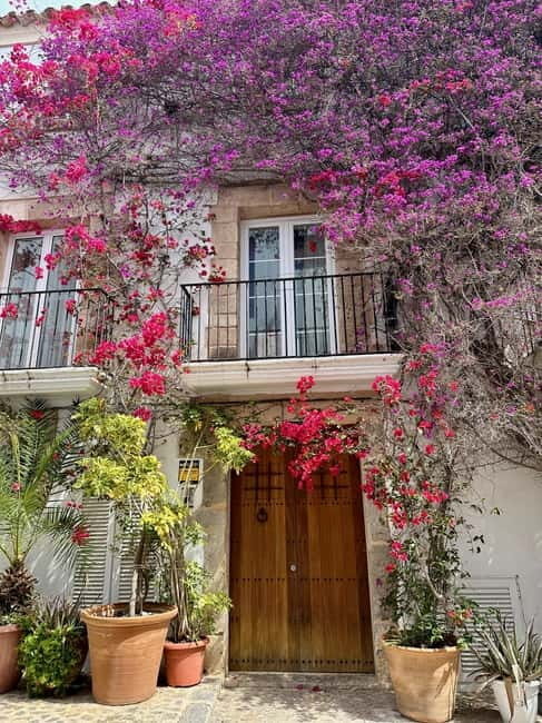 History and Relax in Ibiza: Dalt Vila, Cala Bassa and Can Soleil - An In-Depth Look at the Tour Experience