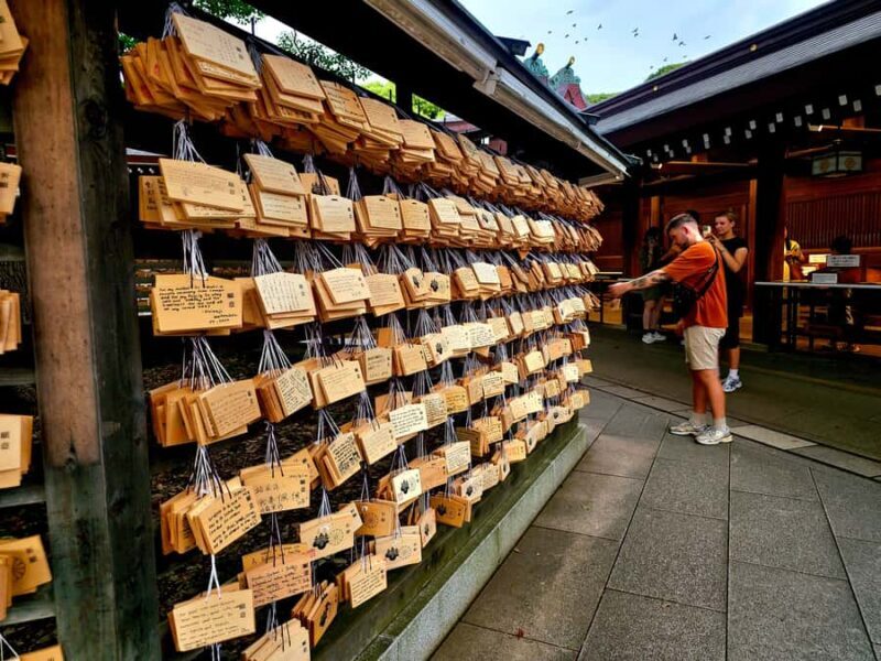 History and serenity at Meiji Shrine and Yoyogi Park  Walking Tour - A Walk Through History and Nature