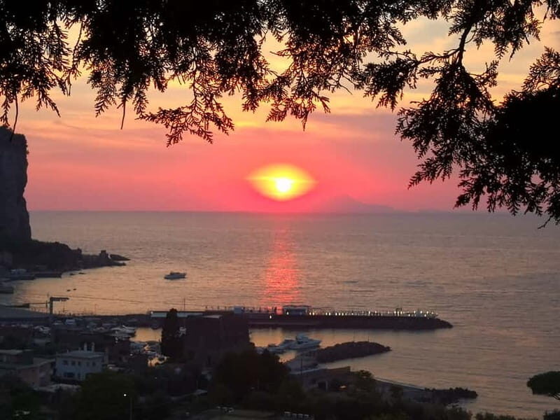 History and tasting of Neapolitan cuisine on the sea terrace - The Experience: What to Expect