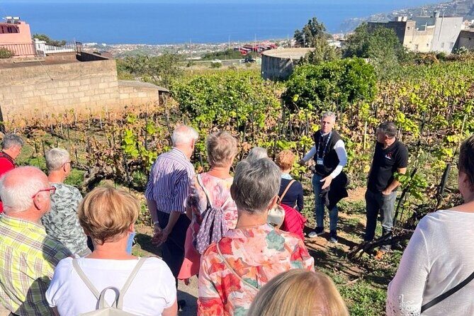 History and Tradition Tour of Local Products of La Orotava - Who Is This Tour Best For?