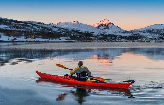 History Fjordcruise Around The Isle Of Tromso - Luxury Catamaran - Key Points
