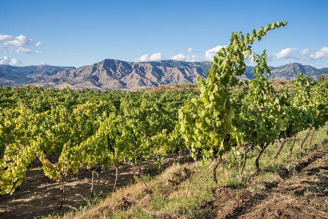 History & Local Wines: Amphitheater, Mitrium and Winery Visit - Final Thoughts: Is It Worth It?