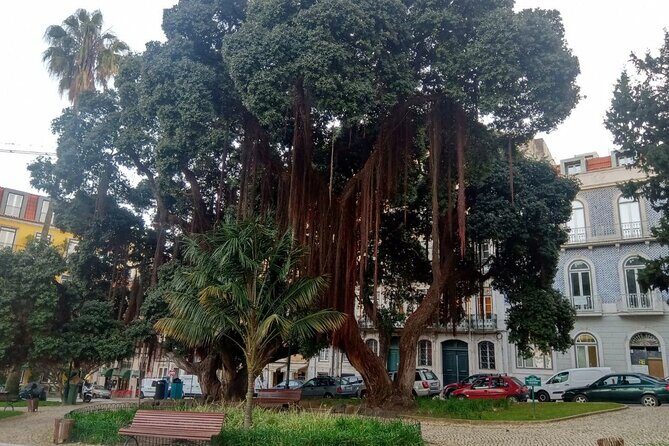 History-mistery of Lisbon (secrets societies and black arts) - FAQs About the Lisbon Secrets Society Tour