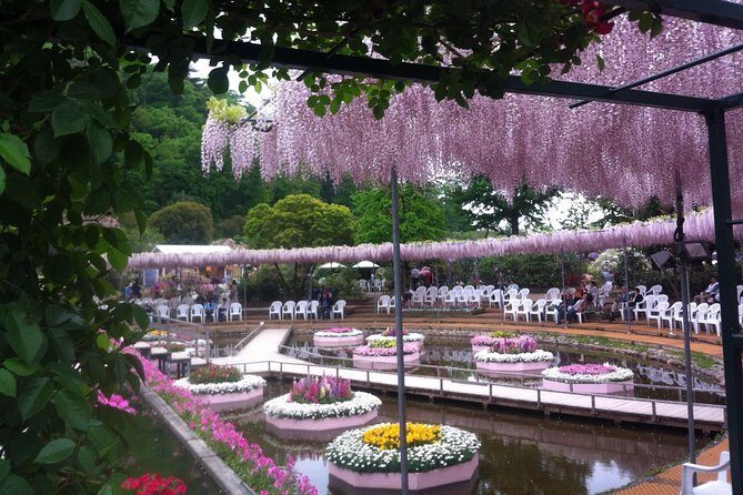 Hitachi Seaside Park & Ashikaga Flower Park from Tokyo - The Sum Up