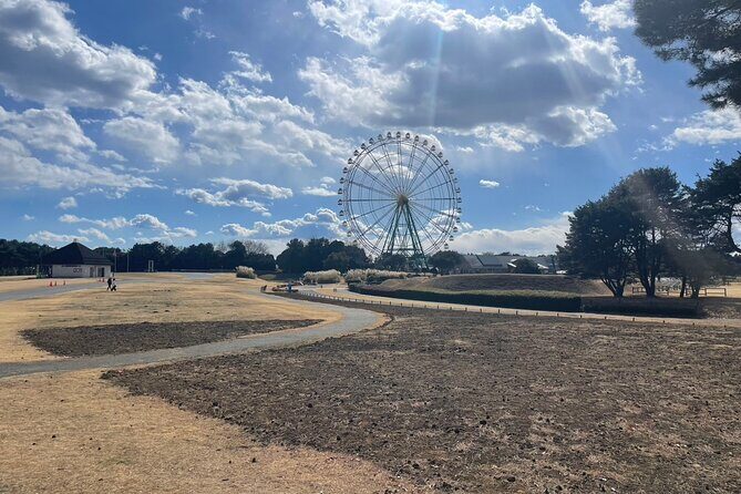 Hitachi Seaside Park & Nakaminato fish market tour - The Price and Its Value