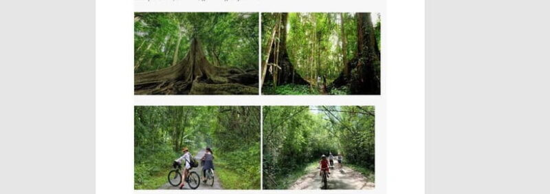 Ho Chi Minh: 2 Days Private Nam Cat Tien National Park - Practical Details & What Matters for Your Trip