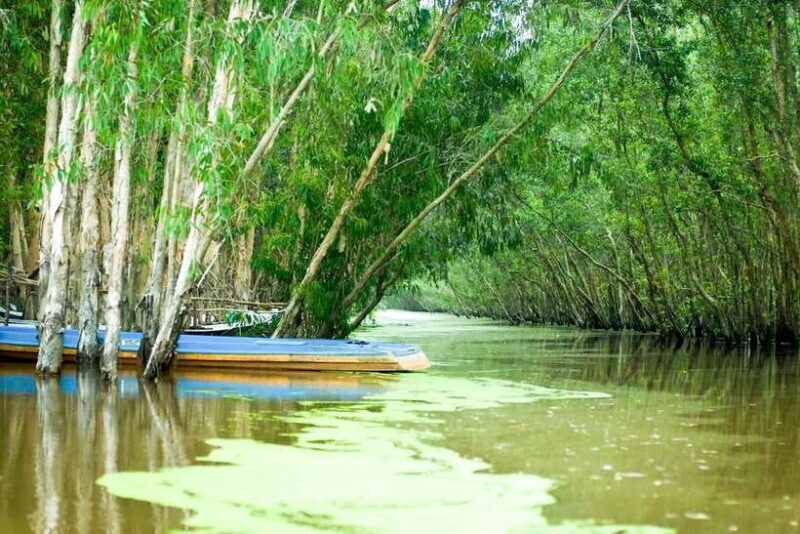 Ho Chi Minh: 3-Day Mekong Delta & Optional Exit to PhnomPenh - Practical Tips for Travelers