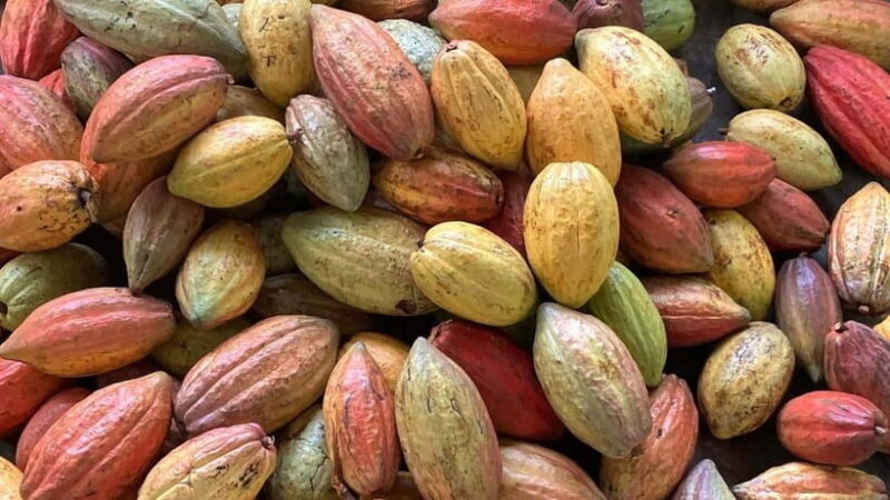 Ho Chi Minh: Authentic boat trip - Cai Rang Floating Market - Authentic Experiences and Genuine Value