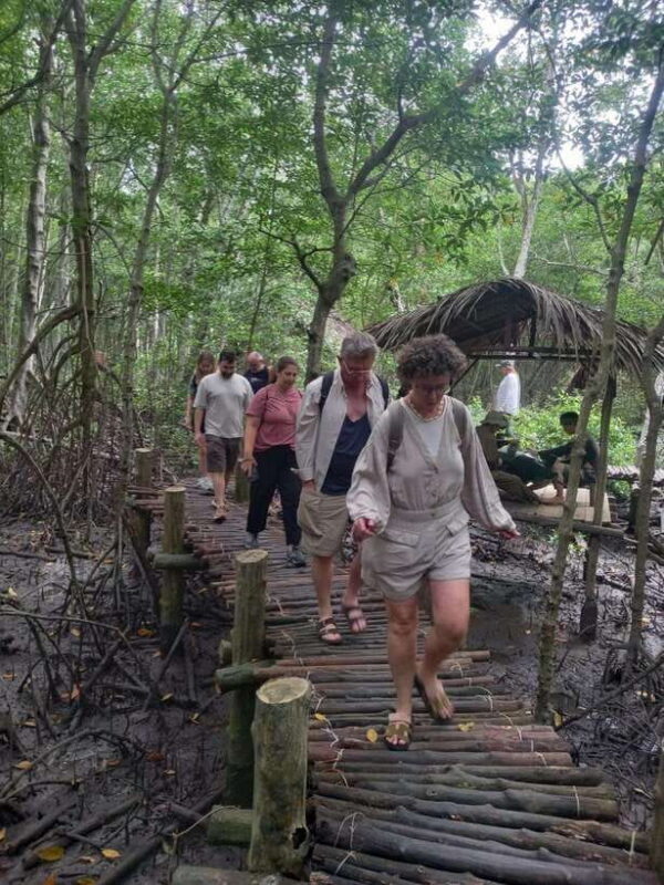 Ho Chi Minh: Can Gio Mangrove and Monkey Island - Who Will Love This Tour?