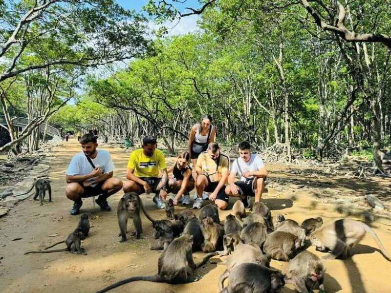 Ho Chi Minh: Can Gio Mangrove and Monkey Island - Final Thoughts