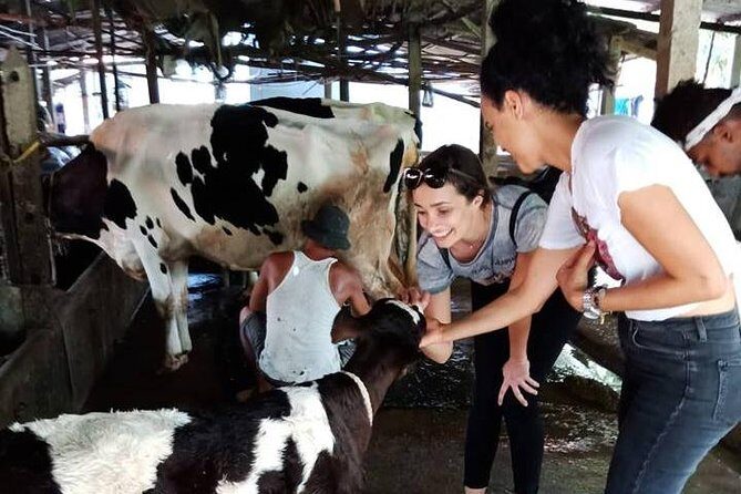 Ho Chi Minh City Full-Day Farm trip with Healthy Cooking Class - A Full-Day Journey into Vietnamese Agriculture and Cuisine