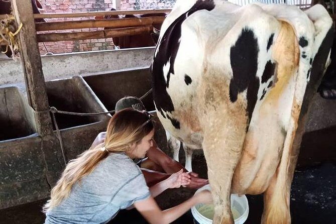 Ho Chi Minh City Full-Day Farm trip with Healthy Cooking Class - The Sum Up