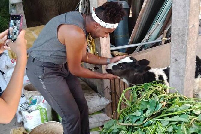 Ho Chi Minh City Full-Day Farm trip with Healthy Cooking Class - FAQ