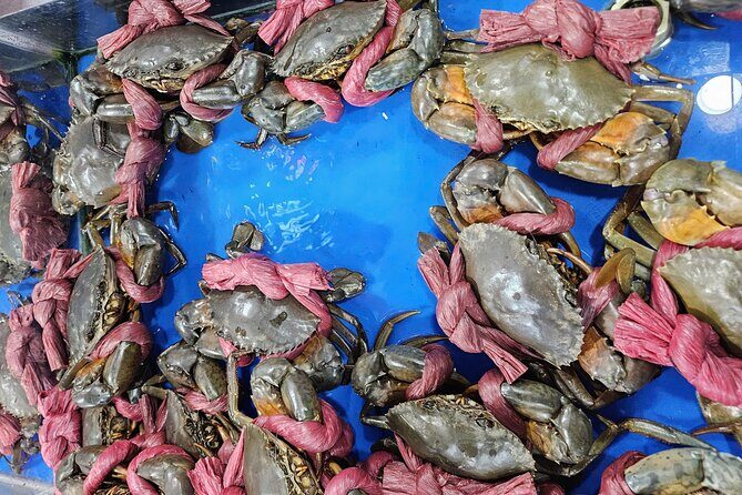 Ho Chi Minh City Jeep Adventure: Highlights And Hidden Gems - Who Should Consider This Tour?