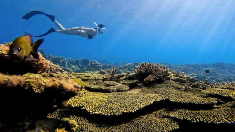 Ho Chi Minh City: Phu Quy Island 2-Day Tour with Meals - An Overview of the Experience