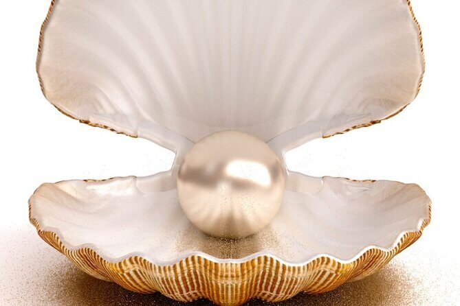 Ho Chi Minh City Shopping Experience Shore Excursion from Saigion - Practical Details & Tips