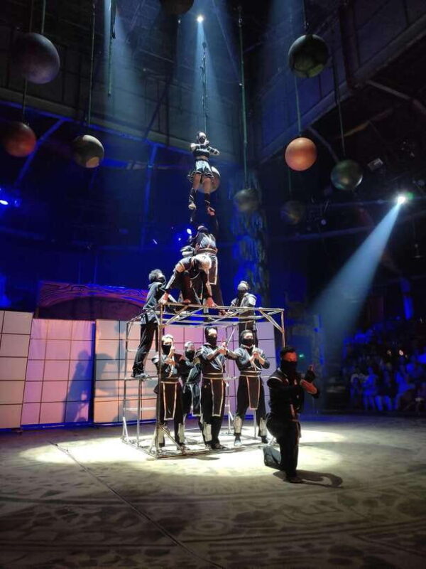 Ho Chi Minh City Tour With Vung Dat Ky Bi Circus For Kids - Logistics, Value, and Practical Tips