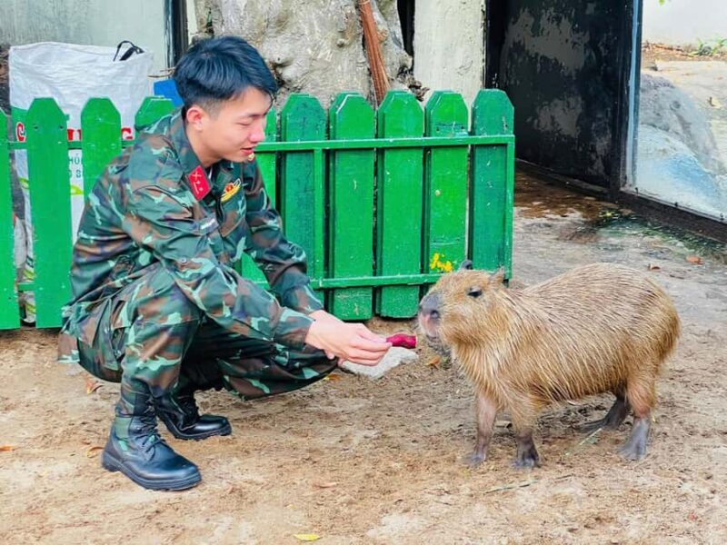 Ho Chi Minh City: Zoo & History Museum Guided Tour - Key Points