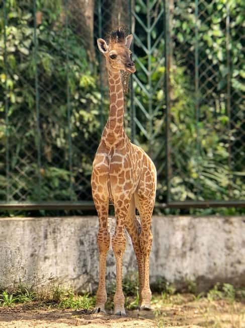 Ho Chi Minh City: Zoo & History Museum Guided Tour - The Ho Chi Minh City History Museum