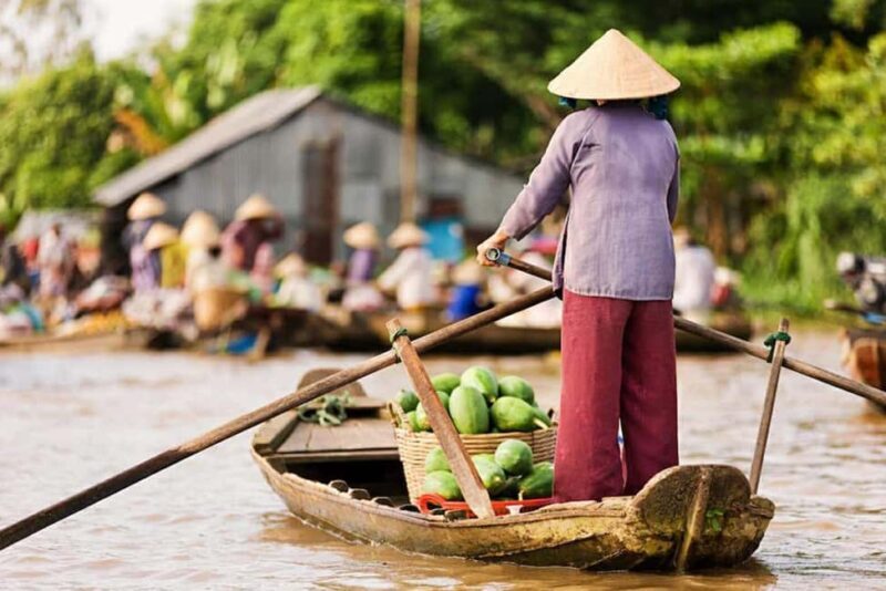 Ho Chi Minh Daily Tour: Full Day Mekong Delta (Private tour) - A Detailed Look at What to Expect