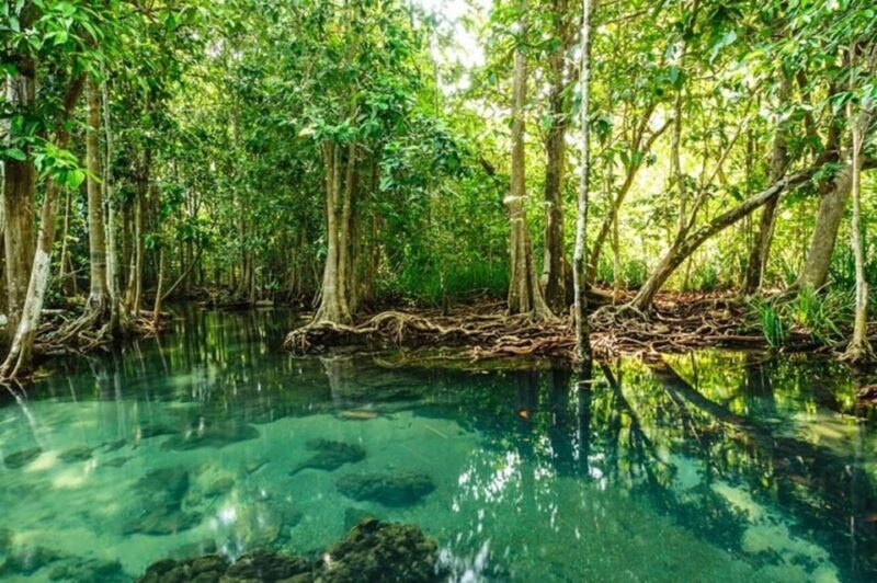 Ho Chi Minh: Explore Can Gio Mangrove Forest & Monkey Island - FAQs