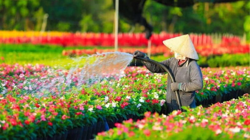 Ho Chi Minh: Floating Market & Bird Sanctuary 2-Day Trip - Final Thoughts