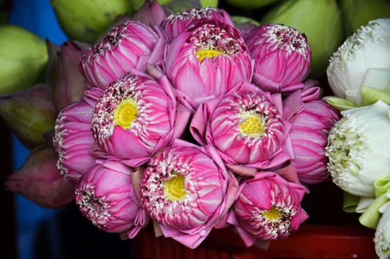 Ho Chi Minh: Historical City Scooter Tour - Authenticity & Cultural Insights