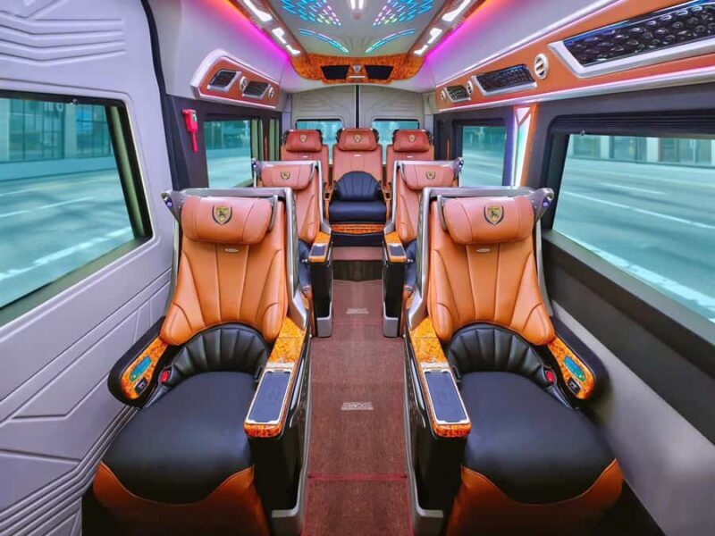 Ho Chi Minh: Mekong Delta Tour optional transfer Limousine - Key Points