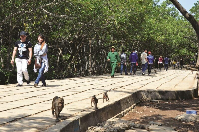Ho Chi Minh: Private Can Gio Mangrove Forest 1 Day Tour - Who Is This Tour Best For?