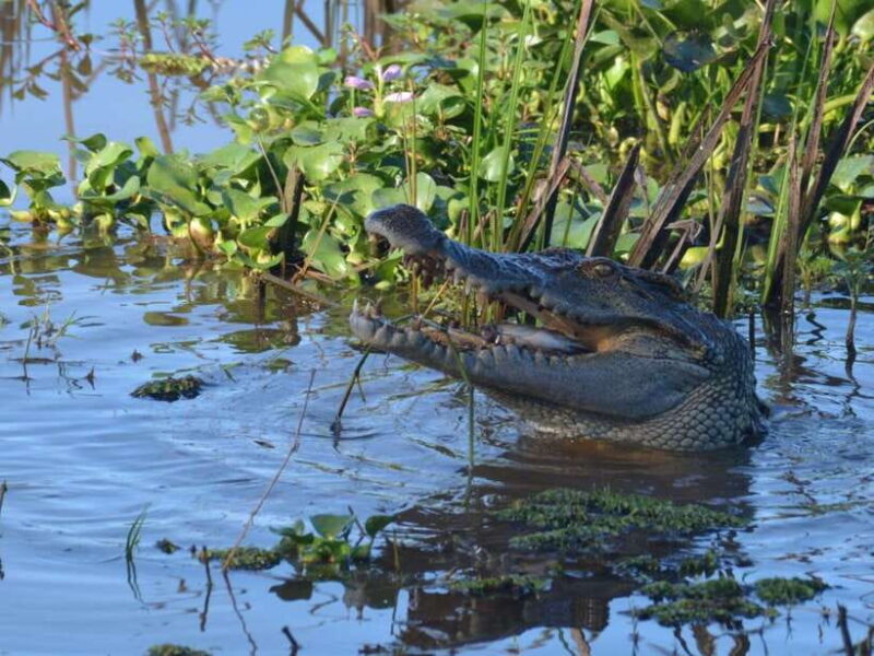 Ho Chi Minh to Cat Tien National Park  Dalat (3 days) - Key Points