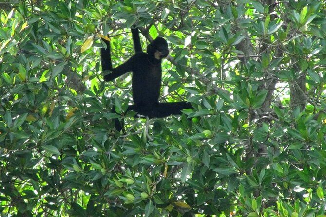 Ho Chi Minh to Vam Sat  Private Eco-Adventure - Introduction: A Natural Escape Just Outside Ho Chi Minh City