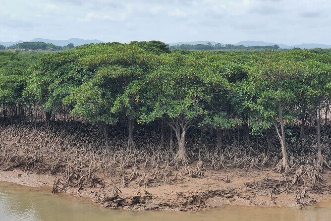 Ho Chi Minh to Vam Sat  Private Eco-Adventure - Analyzing the Value: Price vs. Experience