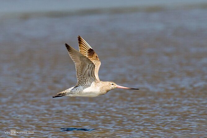 Ho Chi Minh to Vam Sat  Private Eco-Adventure - Who Will Love This Tour?