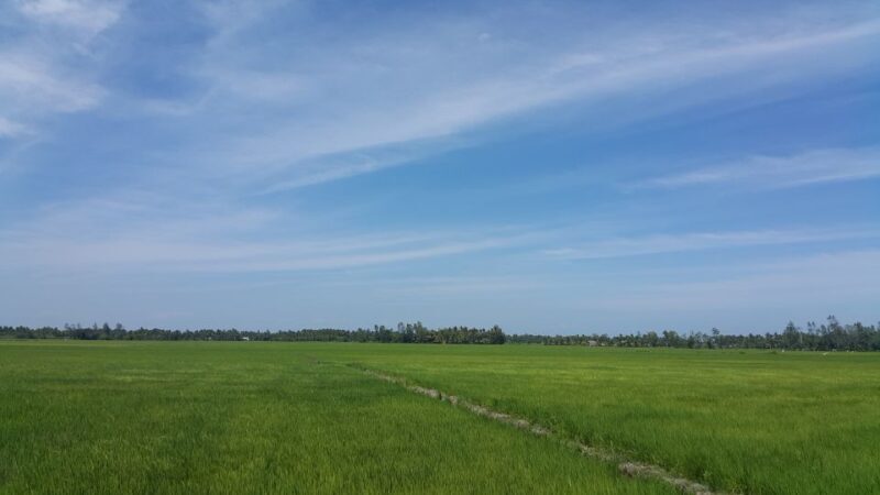 Ho Coc Beach, Nature Reserve & Dragon Fruit Farm Day Tour - FAQs