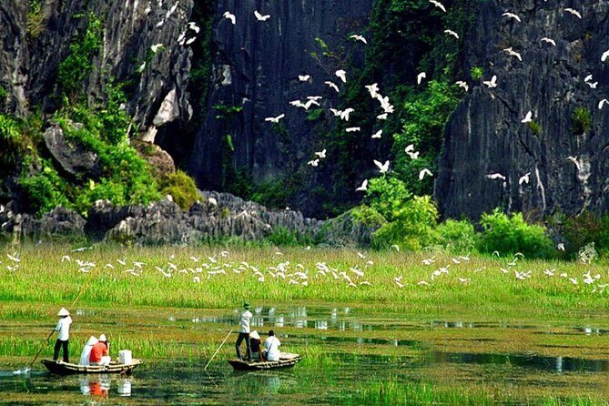 Hoa Lu and Tam Coc - Ninh Binh Day Tour - Key Points
