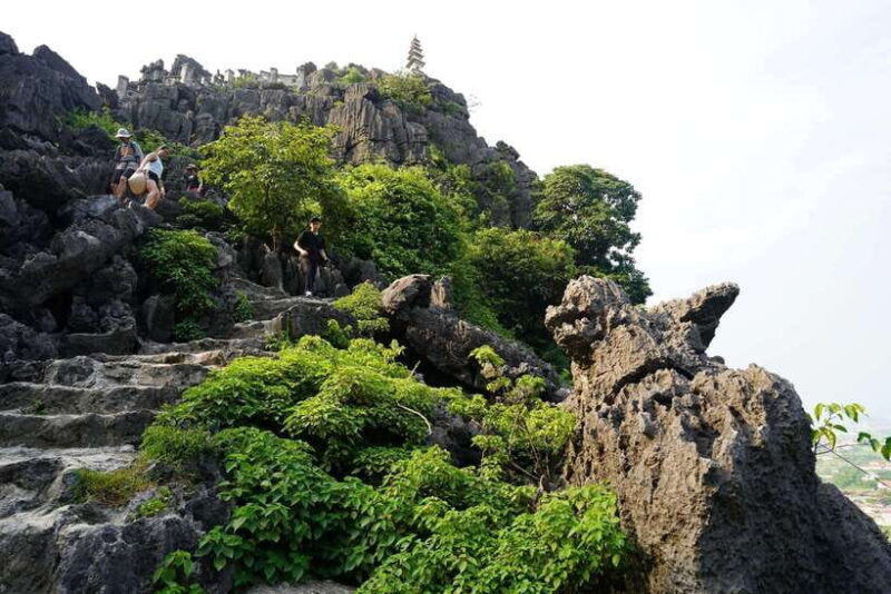 HOA LU - BAI DINH  TRANG AN  MUA CAVE FROM NINH BINH - Who Should Consider This Tour?