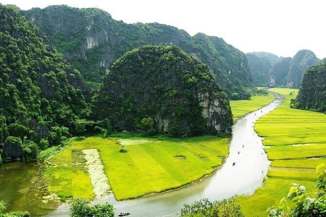 Hoa Lu - Tam Coc - Mua Cave 1 day trip - What Travelers Say (Based on Feedback)