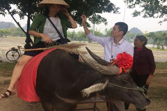 Hoa Lu & Tam Coc & Mua Cave Tour [Japanese guide, limousine bus, small boat boarding fee, lunch included] - Final Thoughts: Why This Tour Offers Good Value