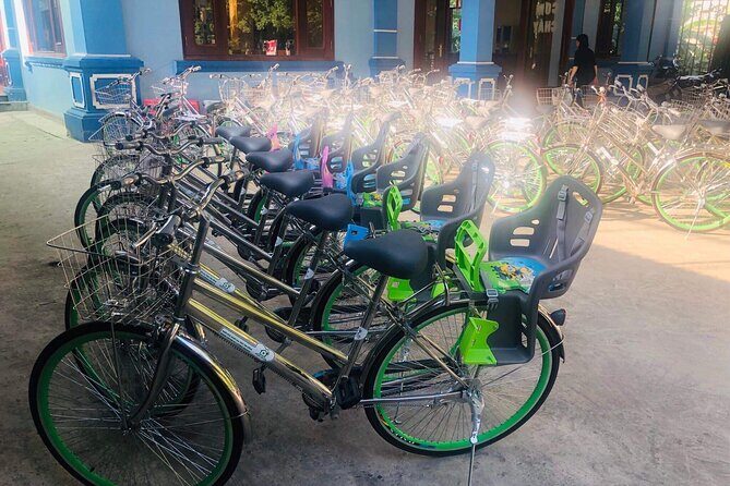 Hoa Lu - Trang An - Hang Mua with Small Group by Limousine - Key Points