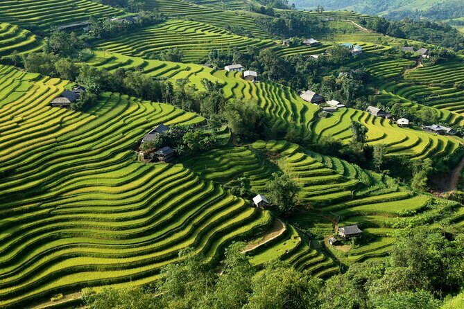 Hoang Su Phi Trekking Tour 3 days 2 nights - Key Points