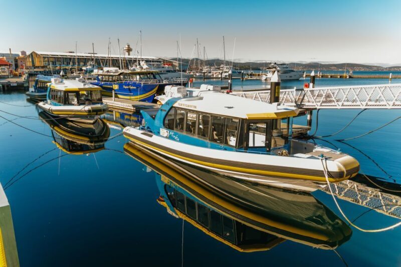 Hobart: 2.5-hour Iron Pot Lighthouse Cruise - An Overview of the Experience