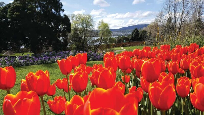 Hobart: 3-Hour City Sightseeing Tour - Detailed Itinerary Breakdown