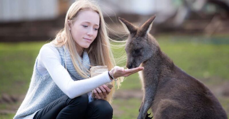Hobart: Admission Ticket to Bonorong Wildlife Sanctuary - Introduction