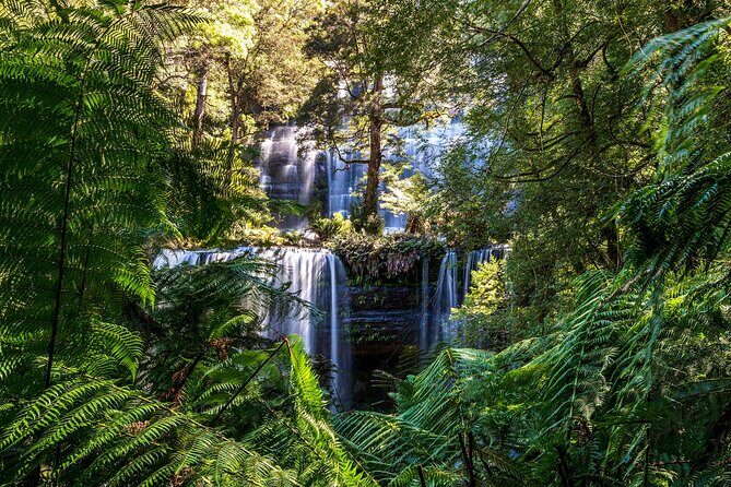 Hobart Adventurer Day Tour | Amazing Views & Native Wildlife - A Full Day of Tasmania’s Natural Wonders