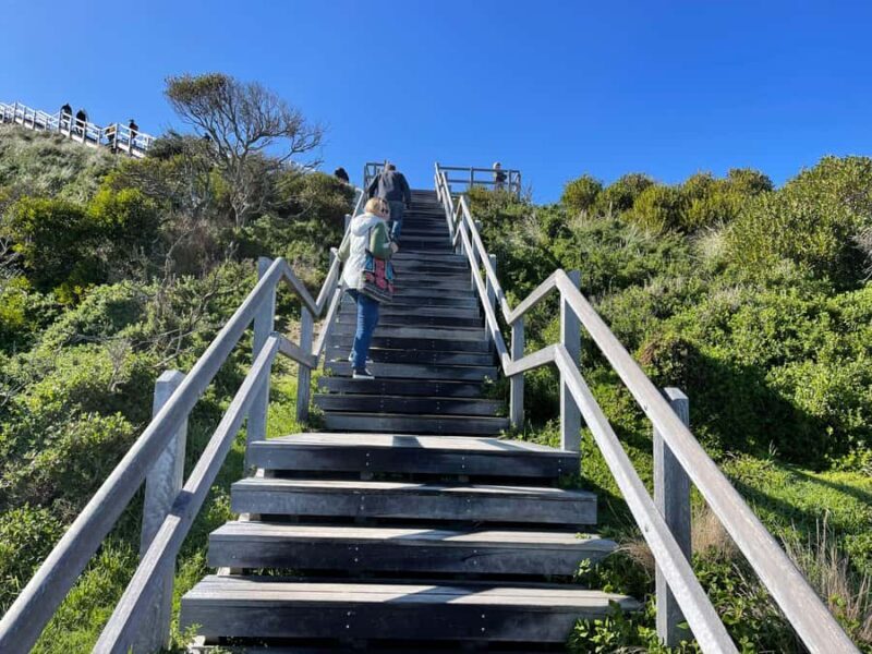 Hobart: Bruny Island Adventure: Hike, Highlights & Tastes - Key Points